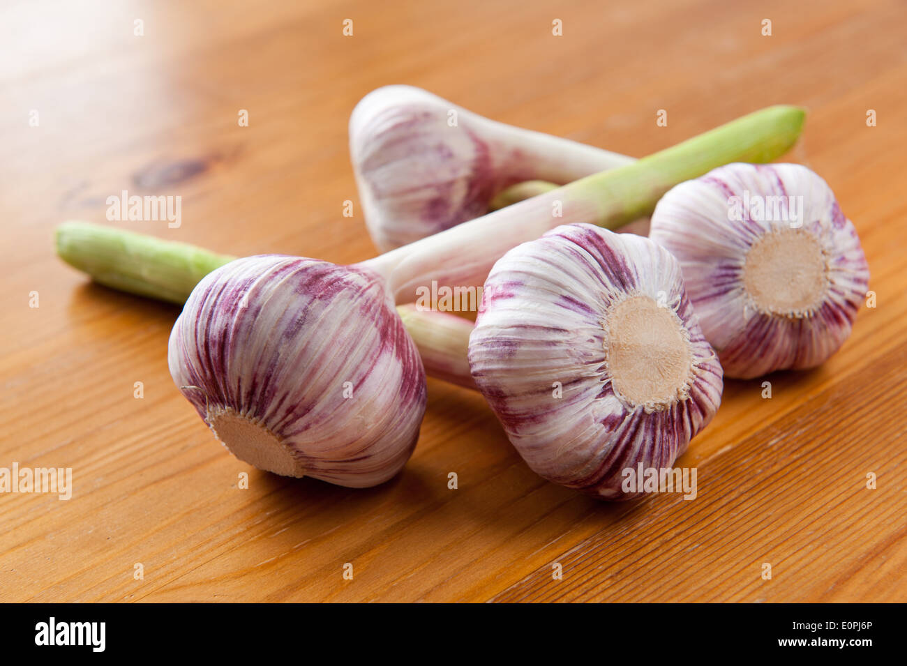 Allium garlic hi-res stock photography and images - Alamy