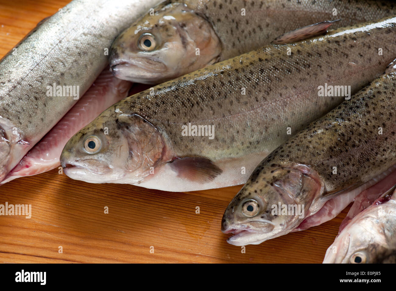 Pile of caught fish hi-res stock photography and images - Alamy