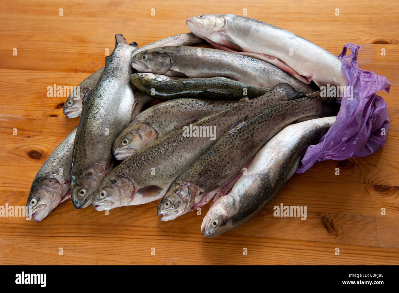 Carcass Fish High Resolution Stock Photography and Images - Alamy