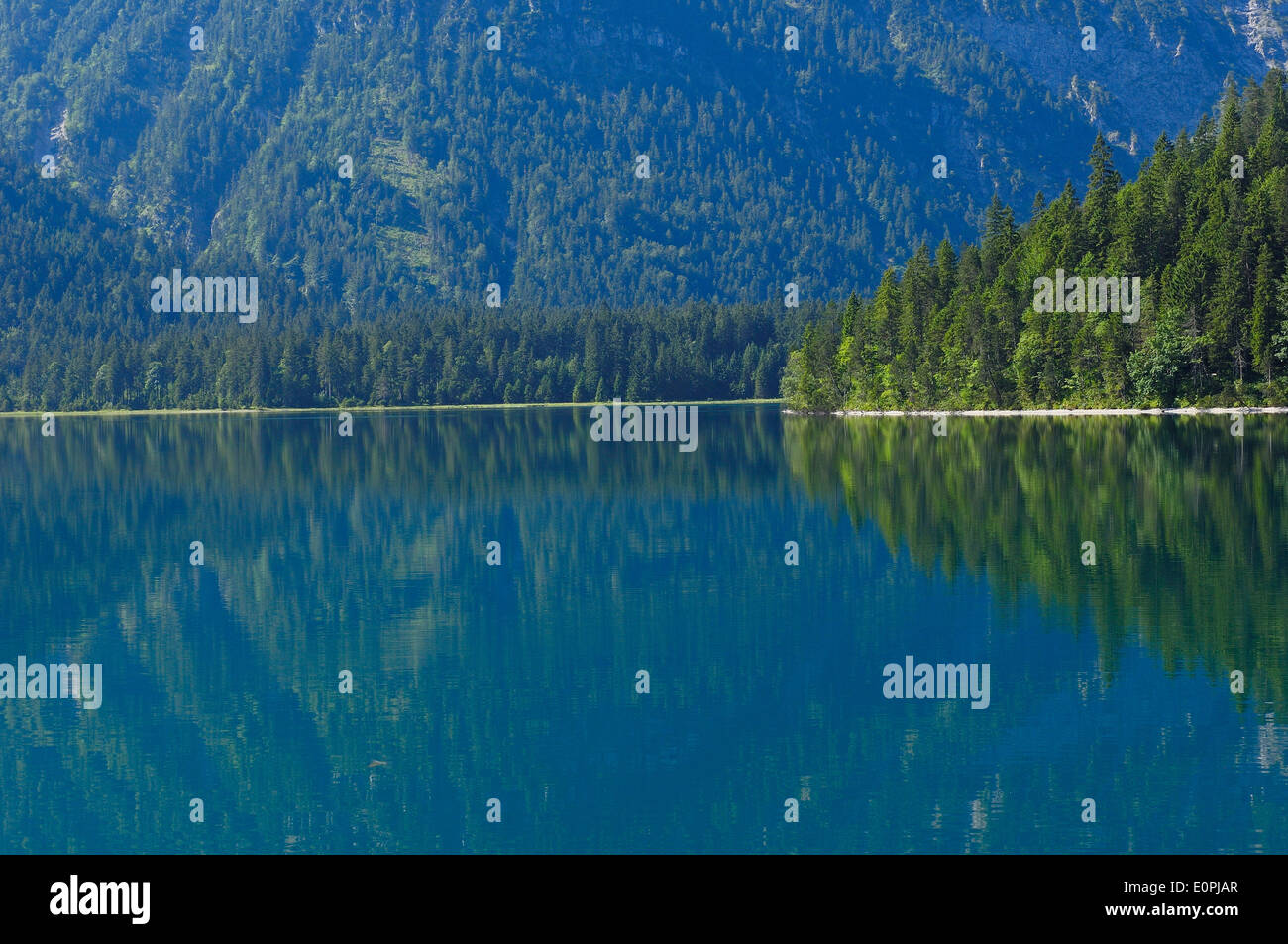 Austria, Plansee, Tirol, Lake Plansee, Seespitz, Ammergau Alps Stock ...