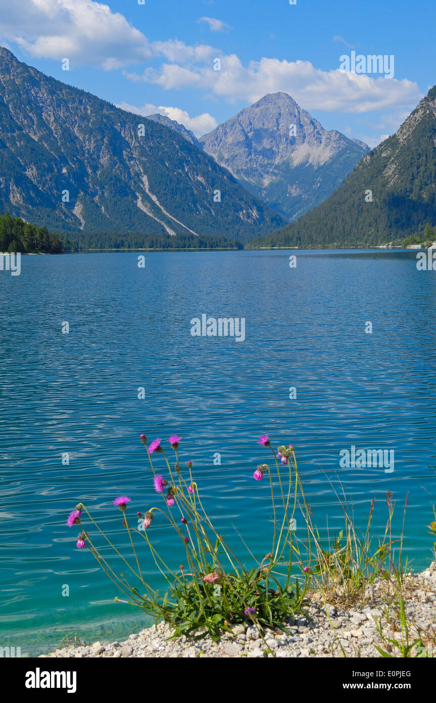 Austria, Plansee, Tirol, Lake Plansee, Seespitz, Ammergau Alps Stock ...