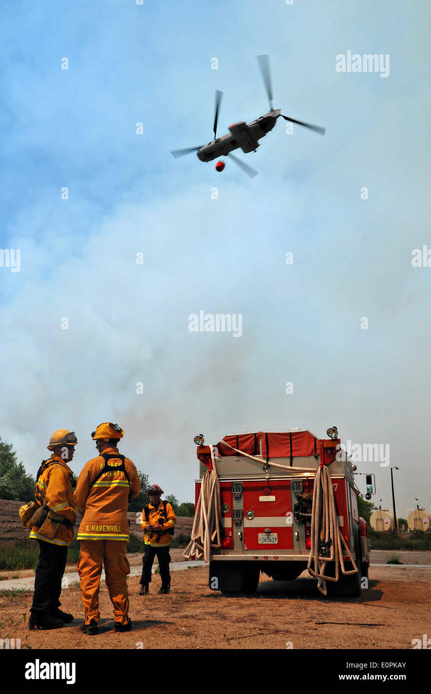 Bambi bucket hi-res stock photography and images - Alamy