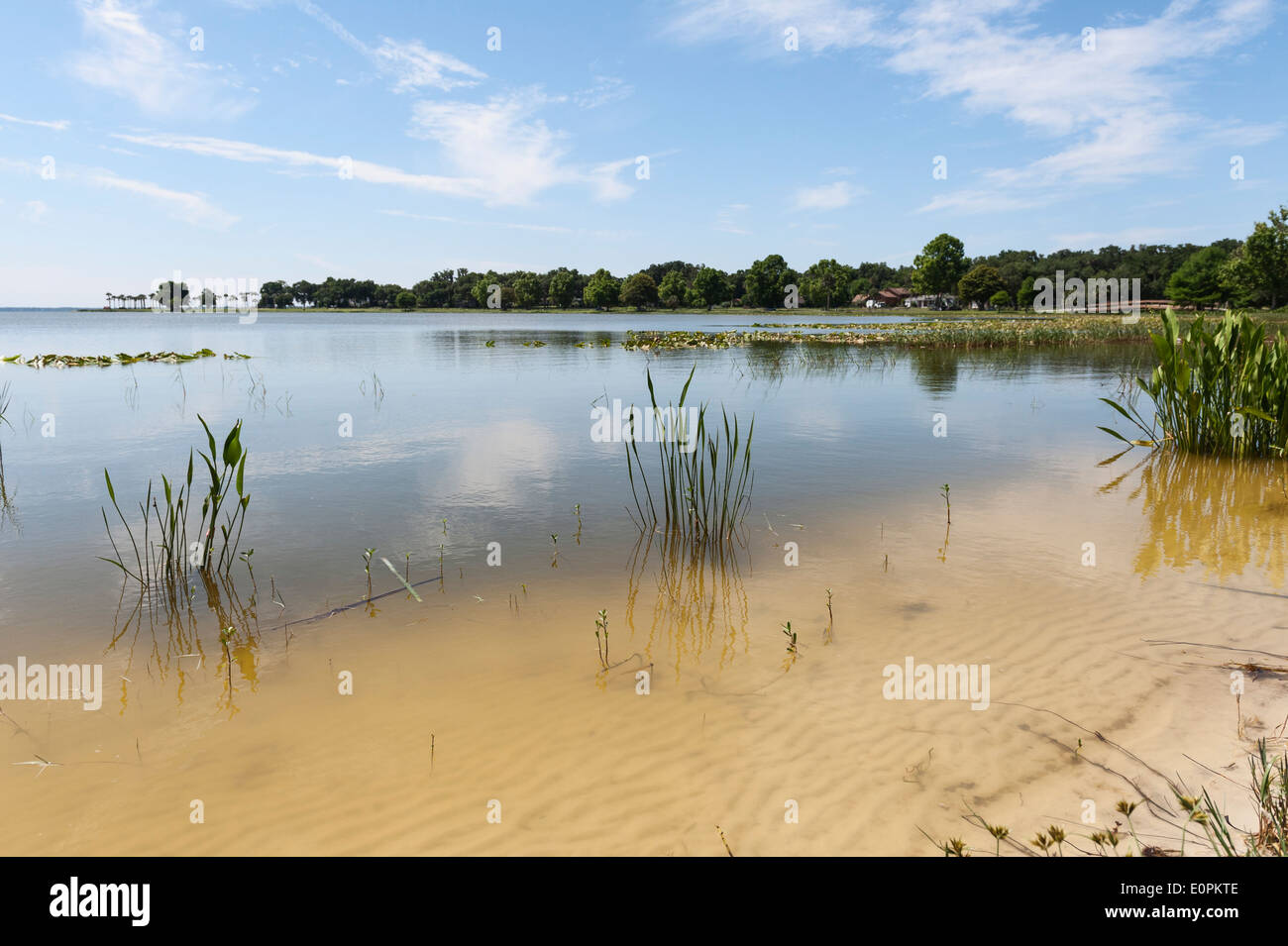 Florida shoreline hi-res stock photography and images - Alamy