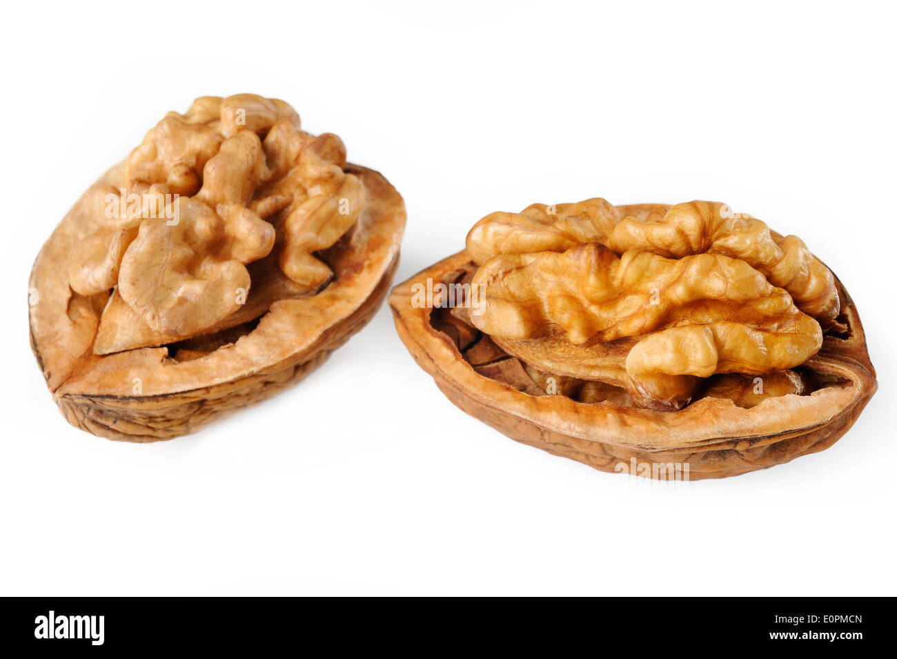 walnut on white background Stock Photo - Alamy