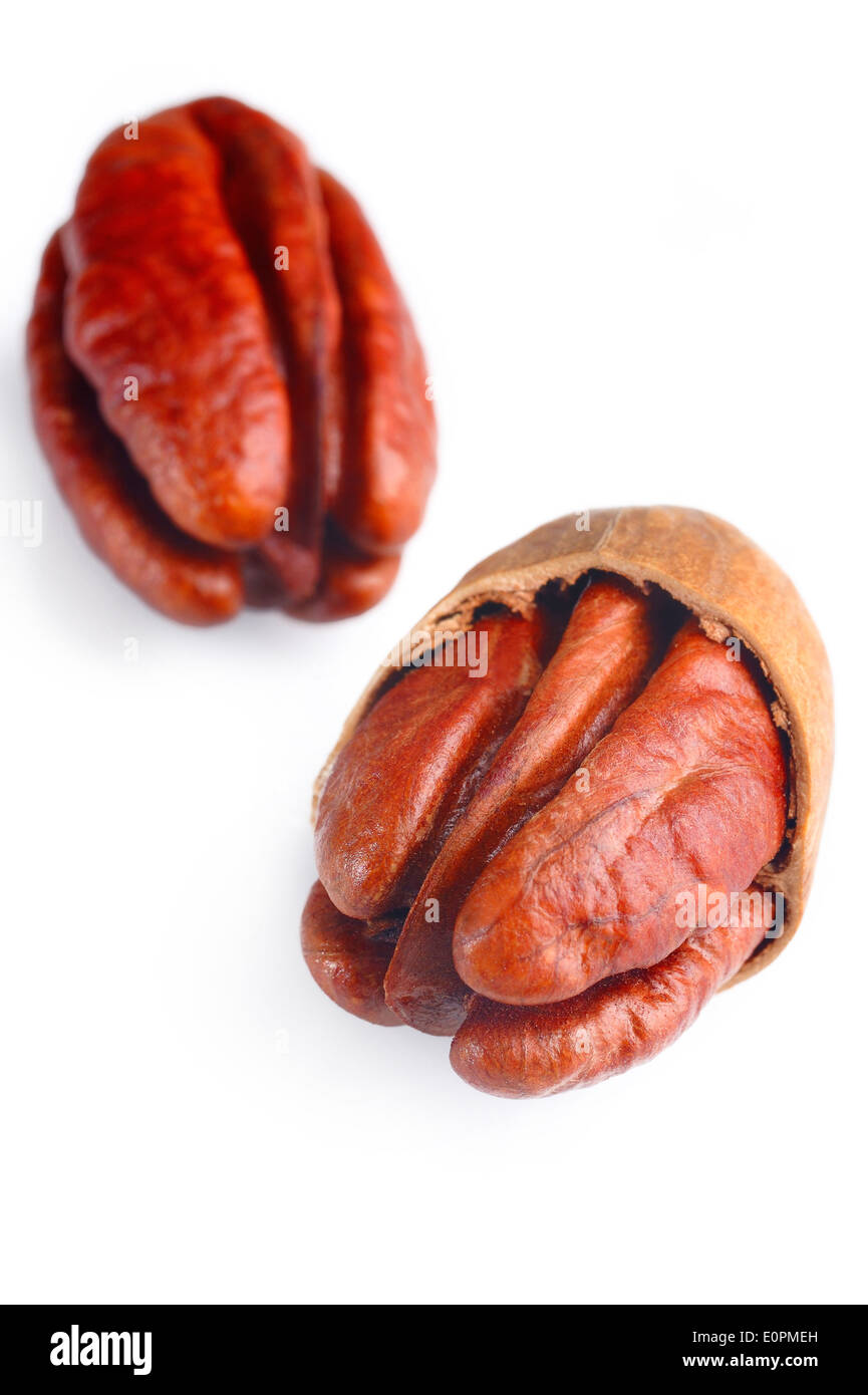 pecan on white background Stock Photo - Alamy