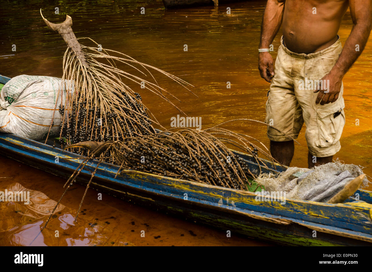 Acai berries collector and his boat Stock Photo - Alamy