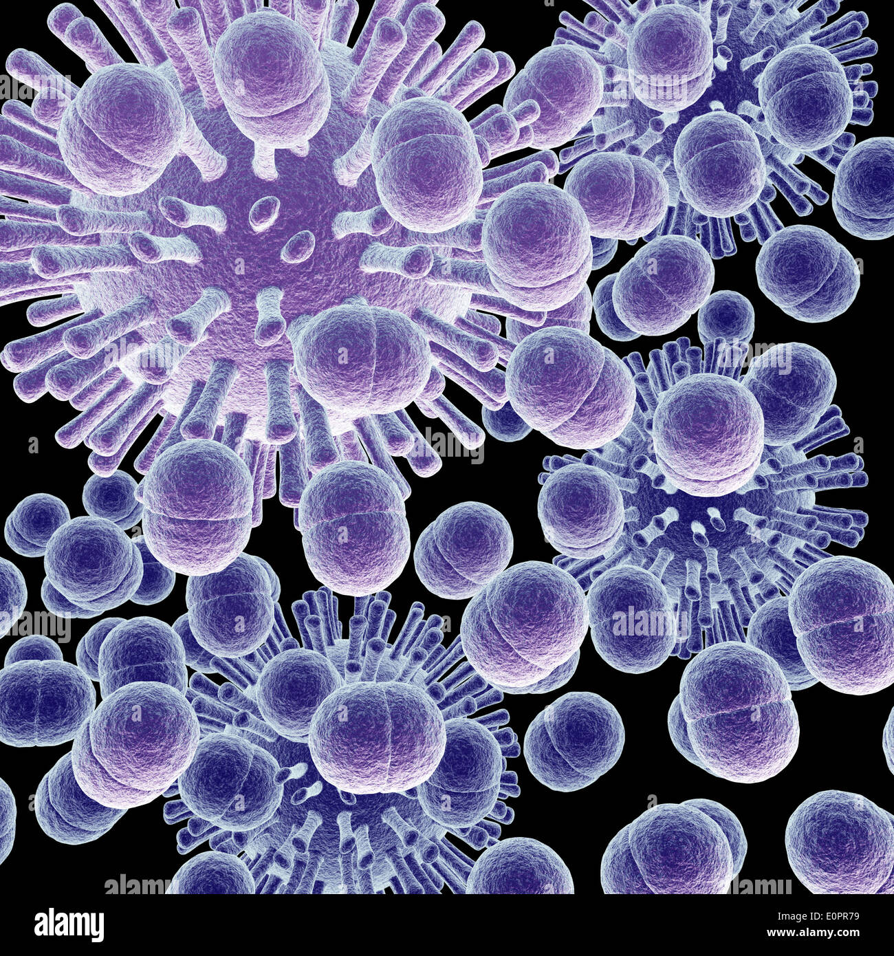 3d Close up of bacteria cells Stock Photo - Alamy