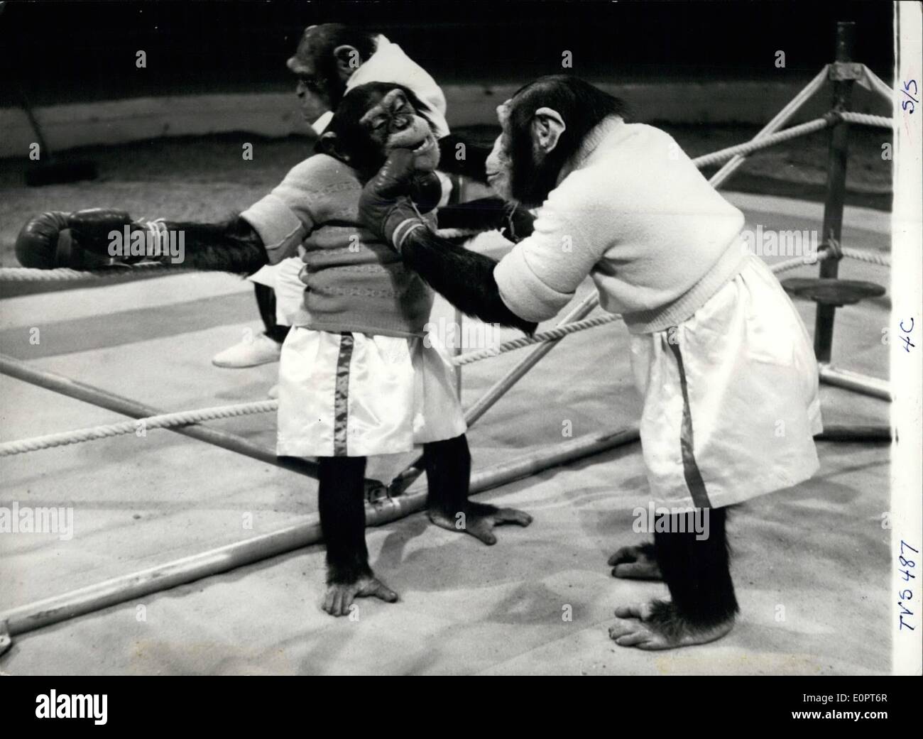 Tepi High Resolution Stock Photography and Images - Alamy