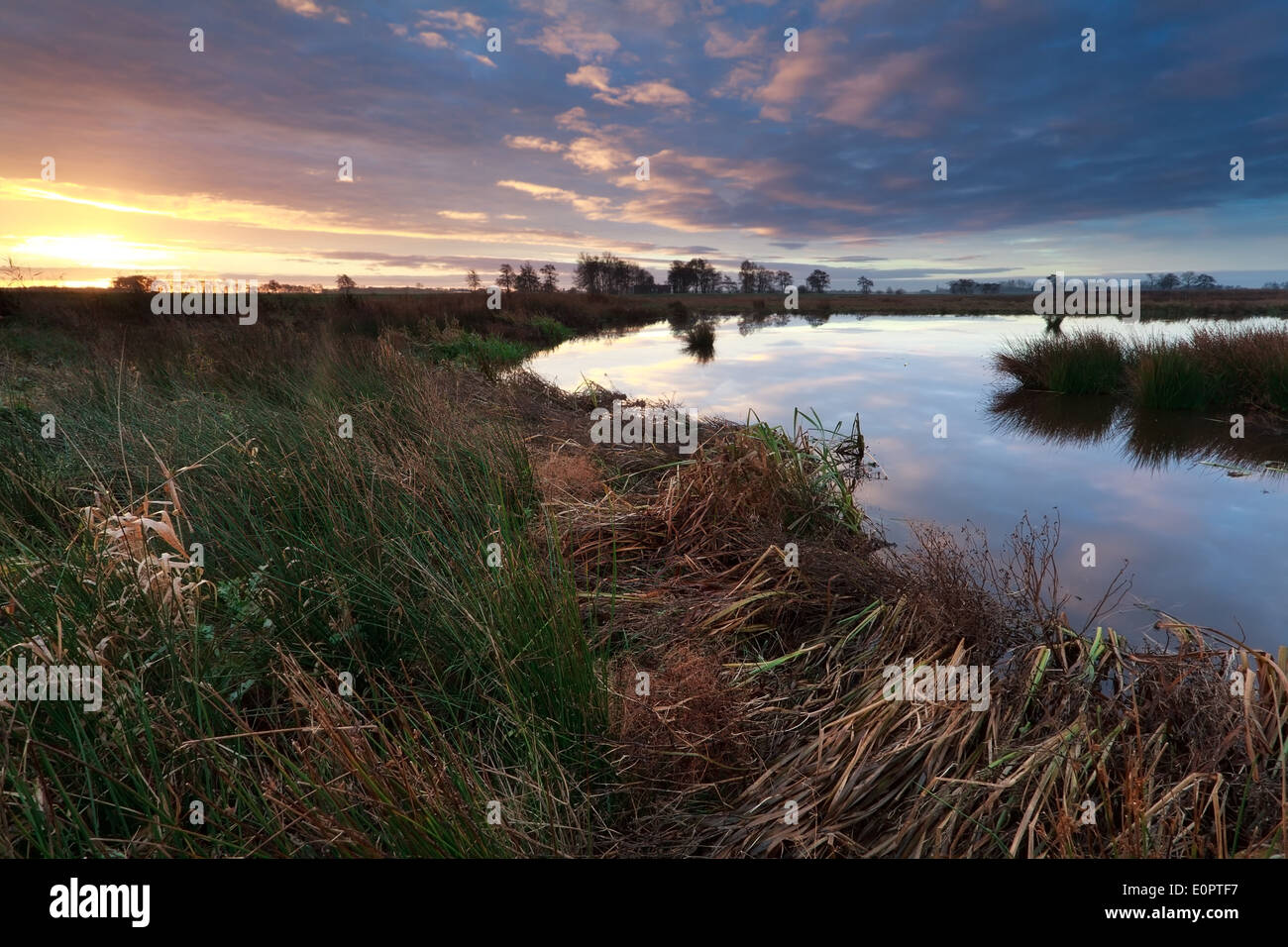 sunrise over wild river, Drenthe, Netherlands Stock Photo - Alamy