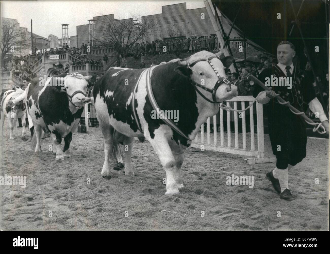 Mar. 03, 1957 - President City Sees Prized Animals At Agricultural Show ...