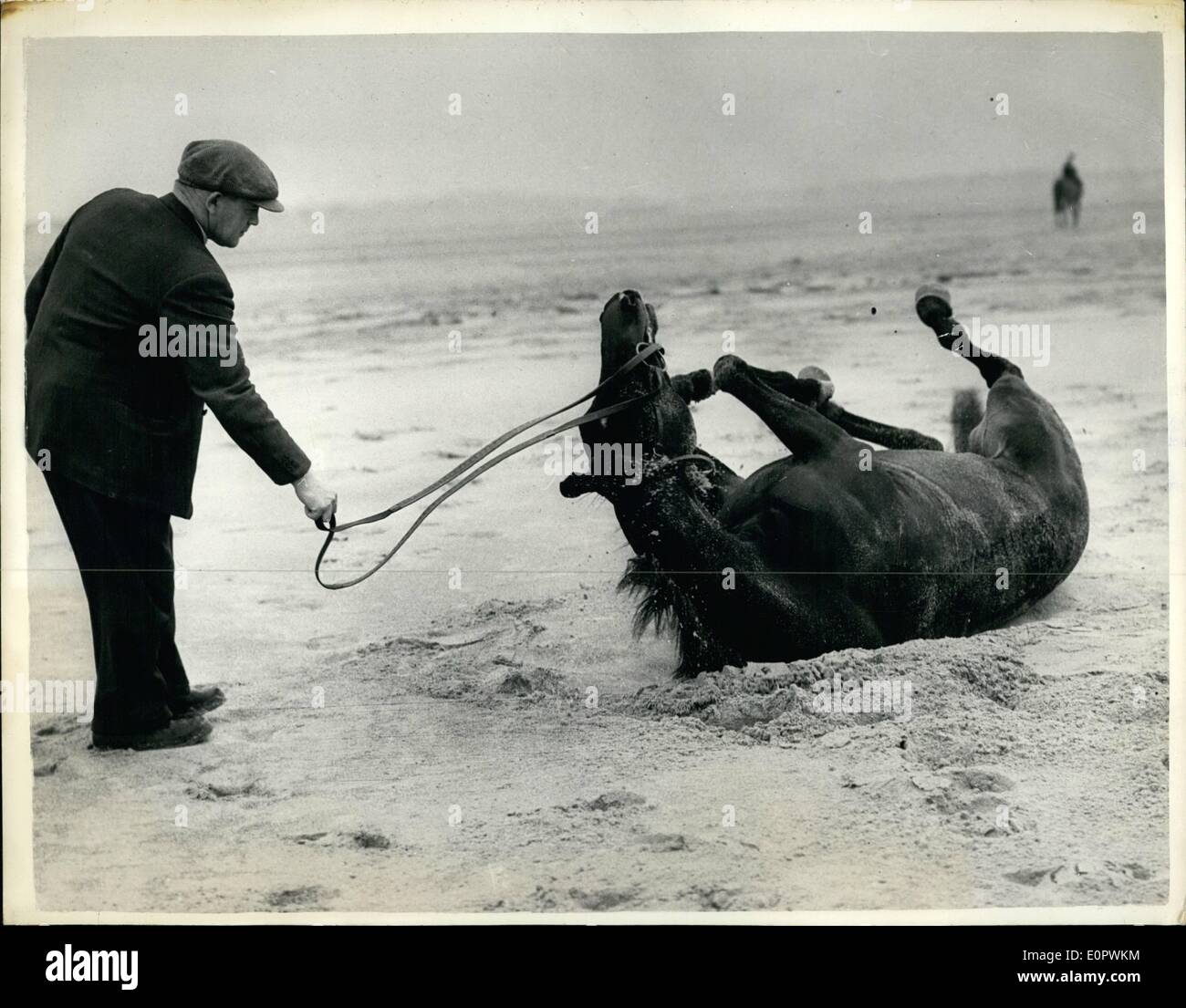 Mar. 03, 1957 - Racehorse Trains on the sand.: Trainer George Boyd ...