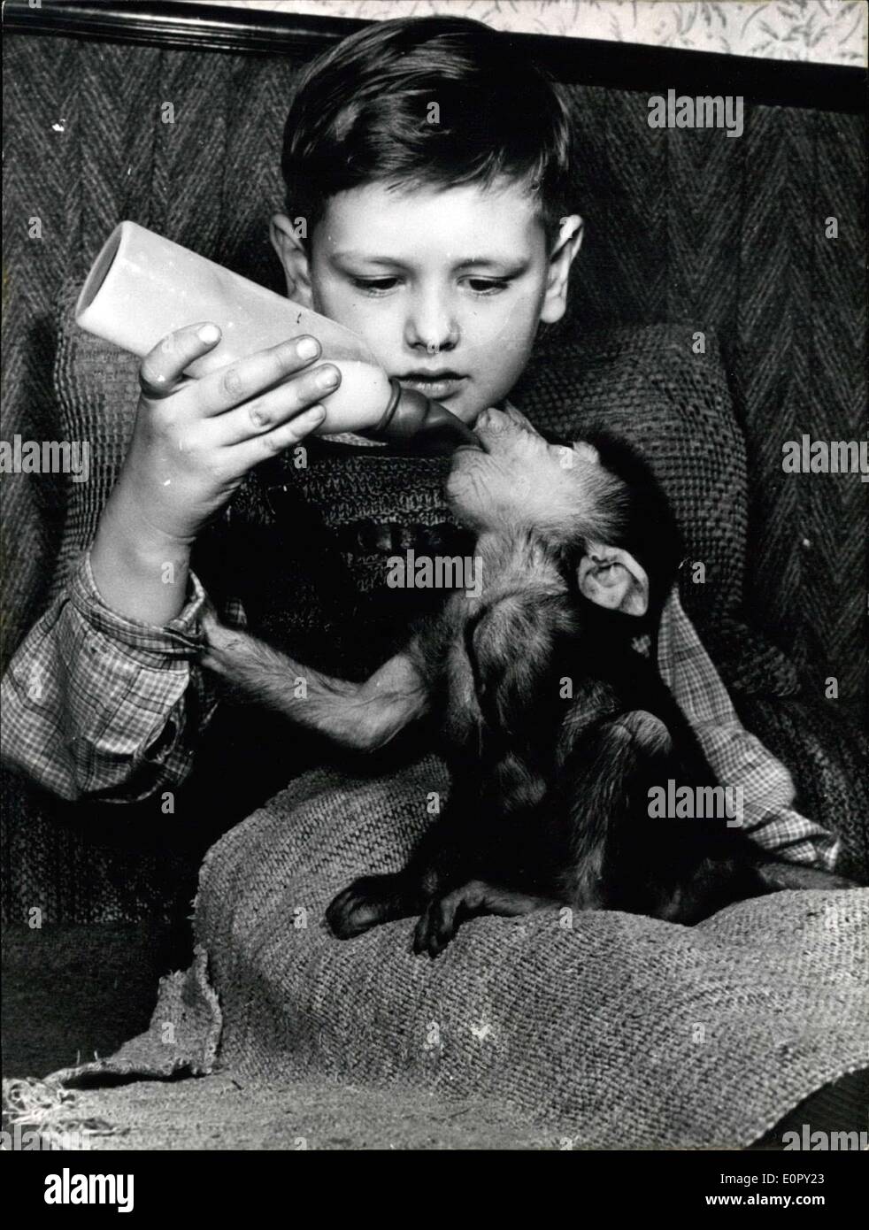 Dear zoo hi-res stock photography and images - Alamy