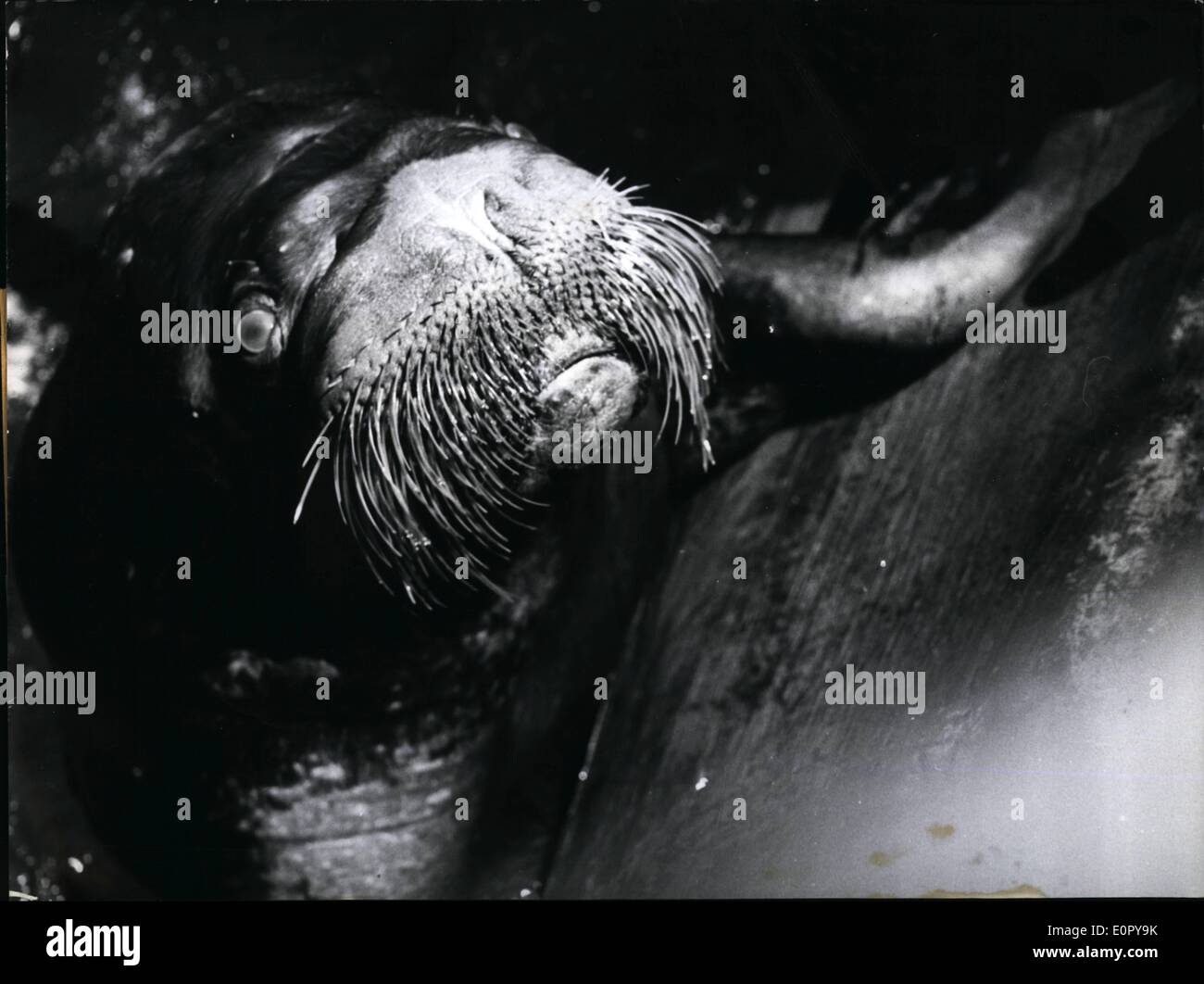 May 05, 1957 - Good Morning and allow me to introduce myself. Mr ...