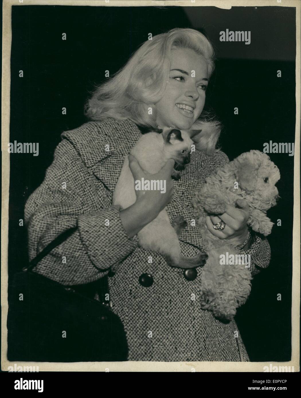 Diana dors accuses policeman hi-res stock photography and images - Alamy