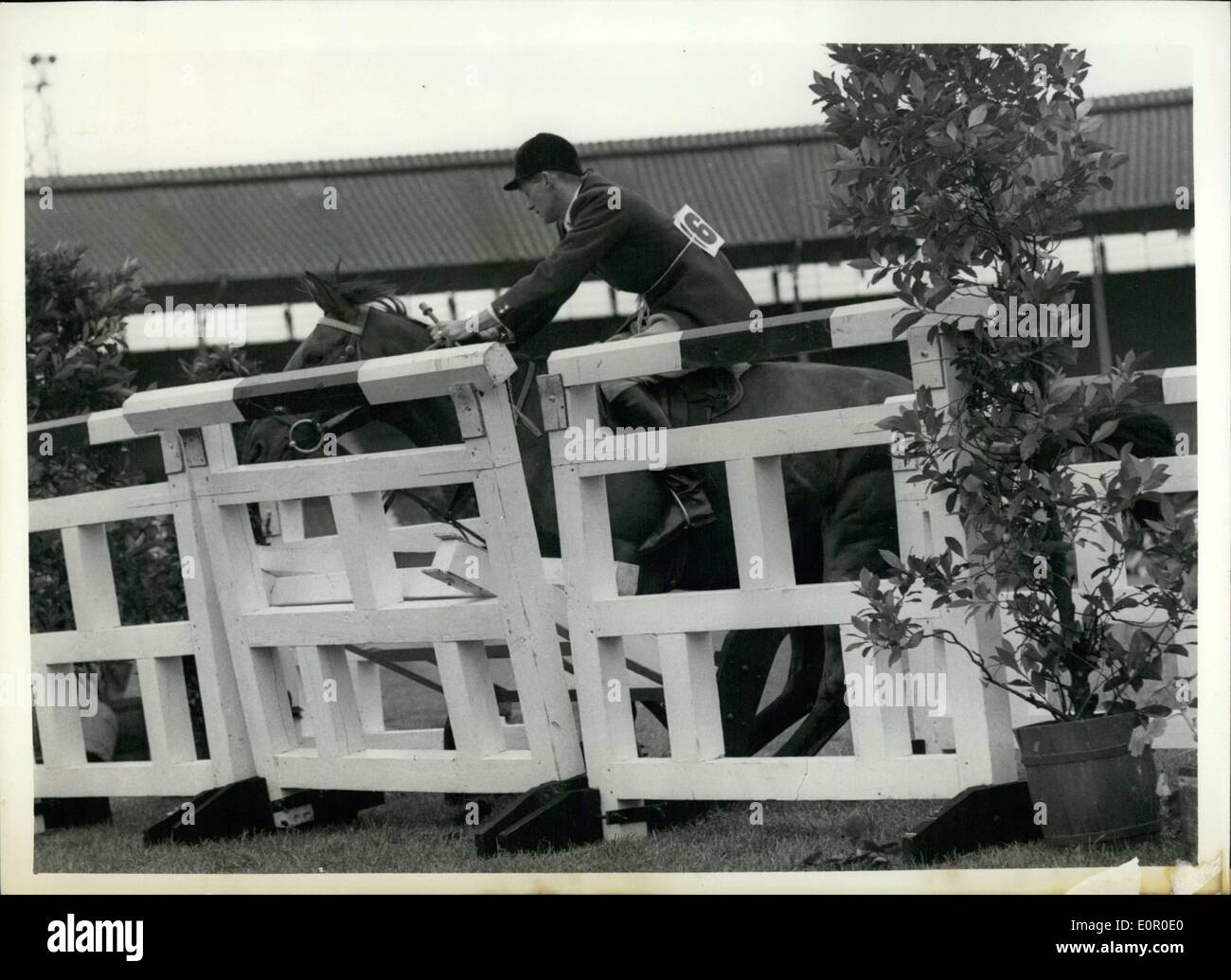 Alan oliver horse hi-res stock photography and images - Alamy