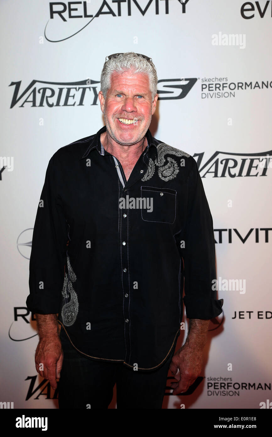 Actor Ron Perlman attends the Relativity 10th anniversary lunch during ...