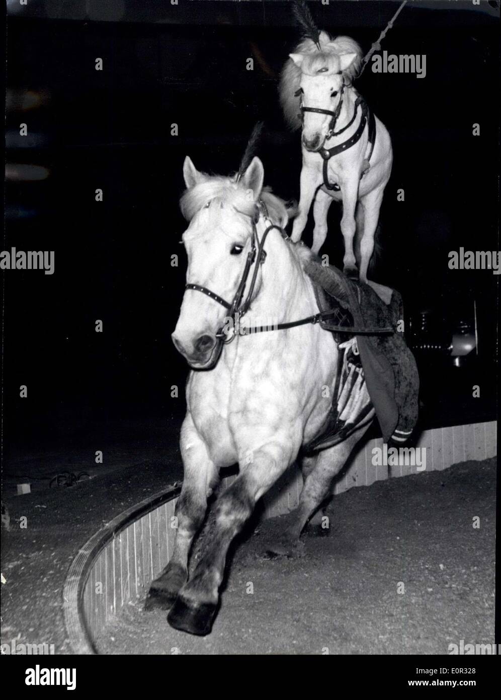 Dec. 26, 1957 - Circus Show In Berlin: A small Shetland Pony rides on ...