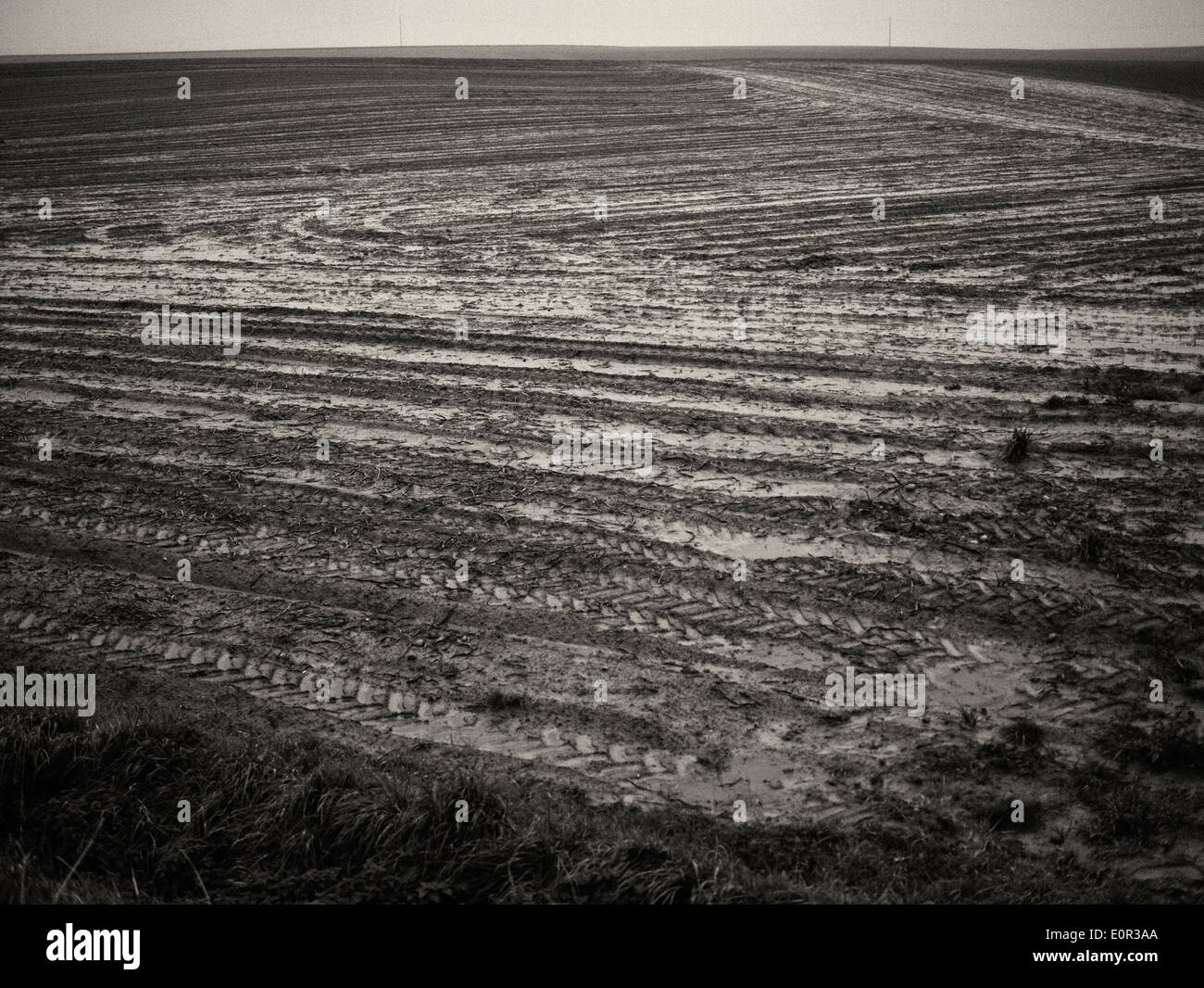 Many Allied troops were lost breaking the Hindenburg Line, last ...