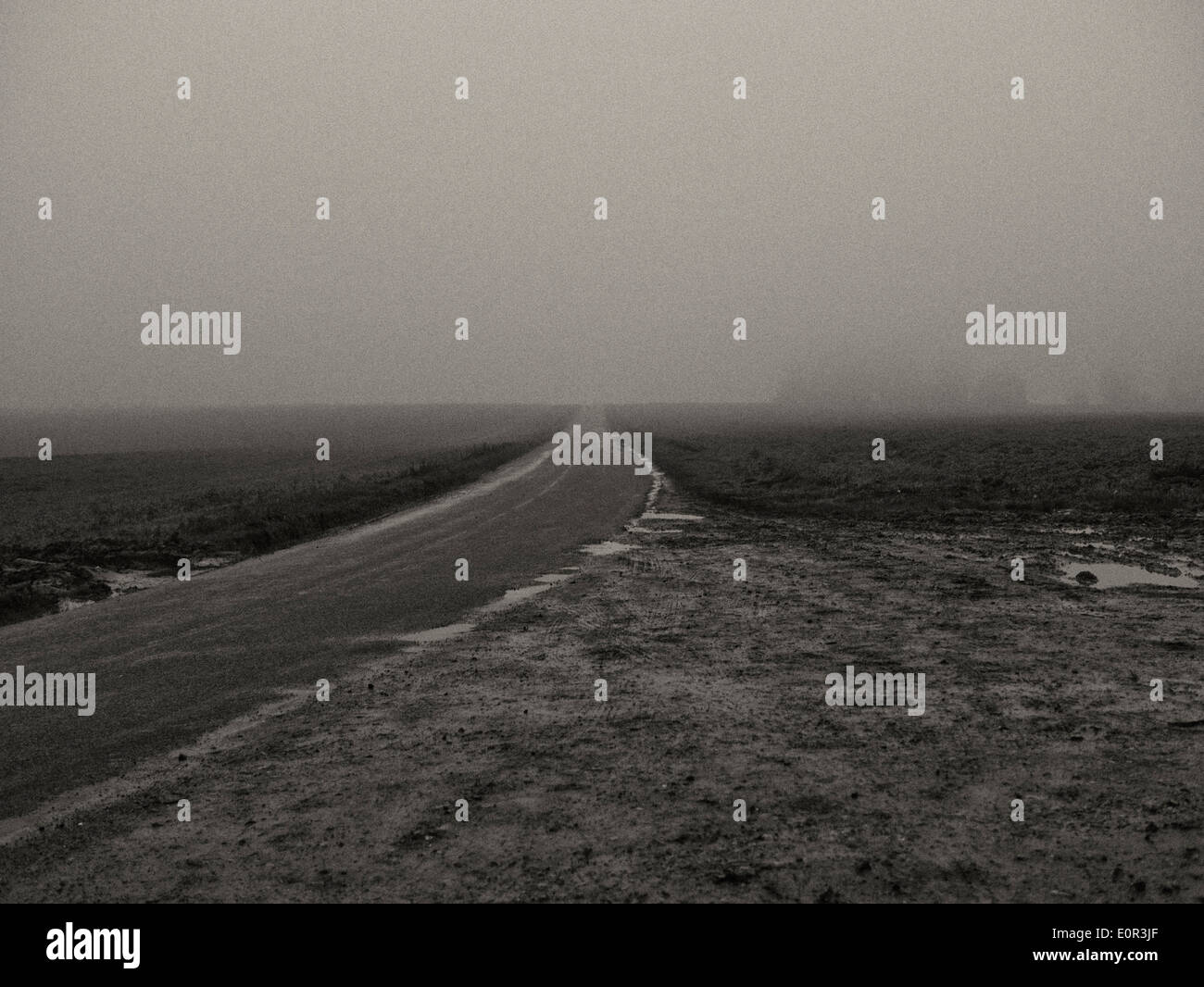 Many Allied troops were lost breaking the Hindenburg Line, last ...