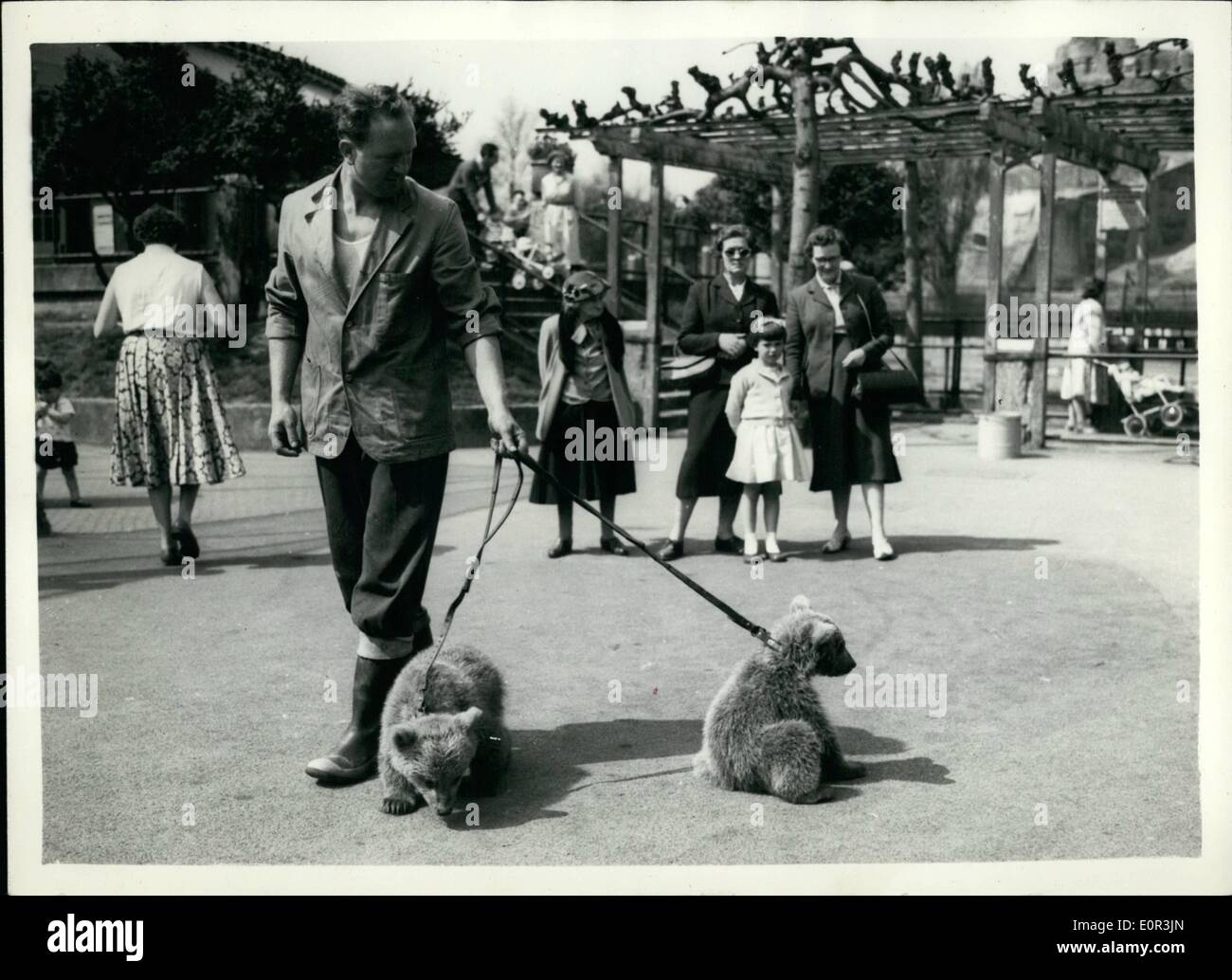 Growia hi-res stock photography and images - Alamy