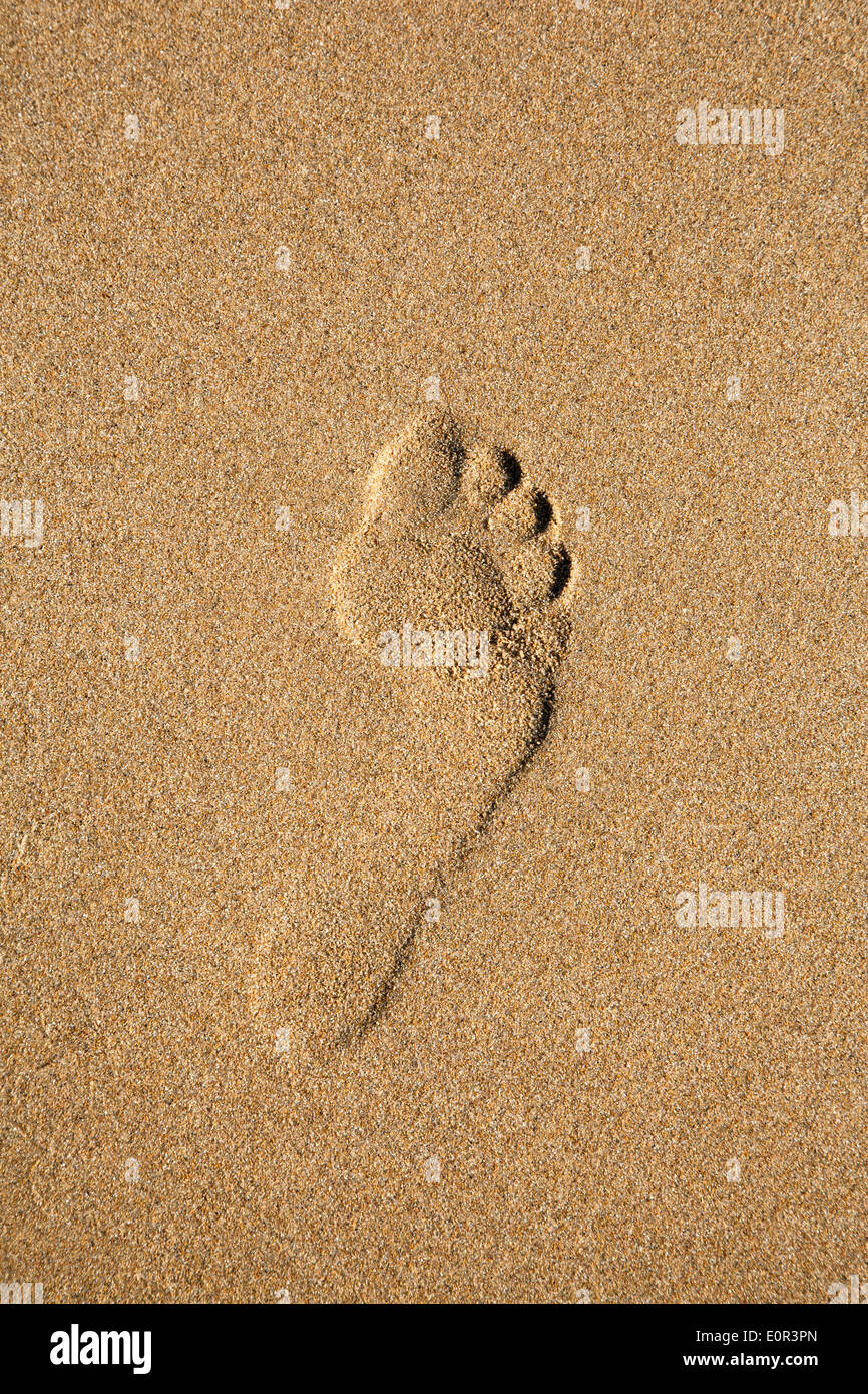 Single footprint on beach sand Stock Photo - Alamy