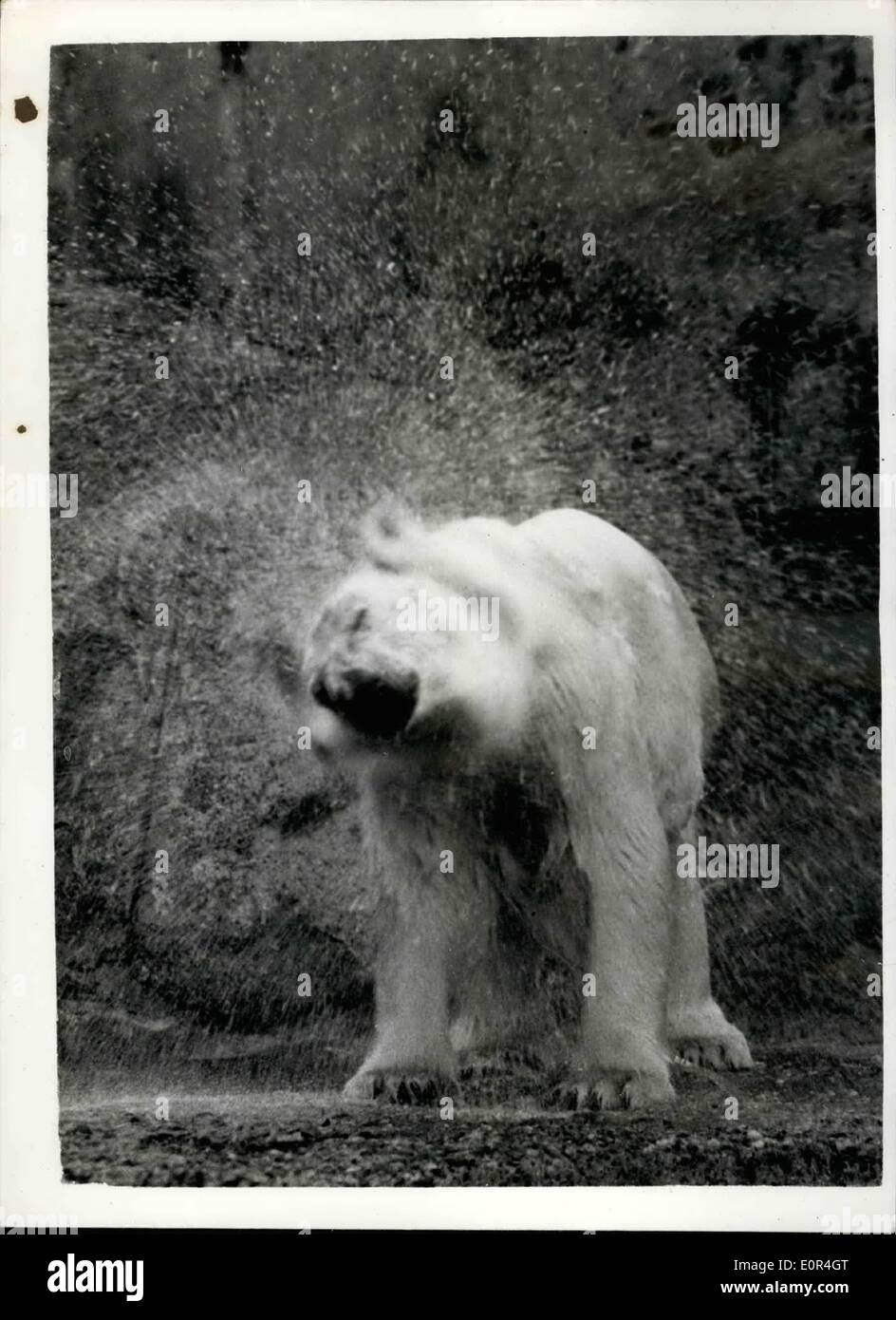 Photo shows one few animals hi-res stock photography and images - Alamy