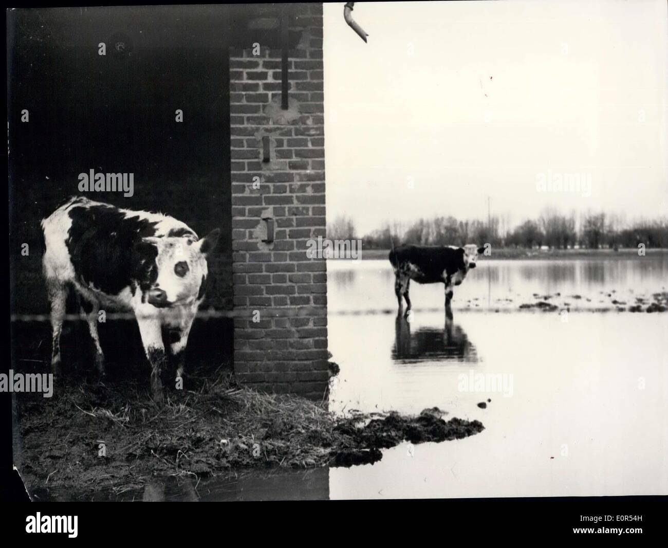Floods in normandy hi-res stock photography and images - Alamy