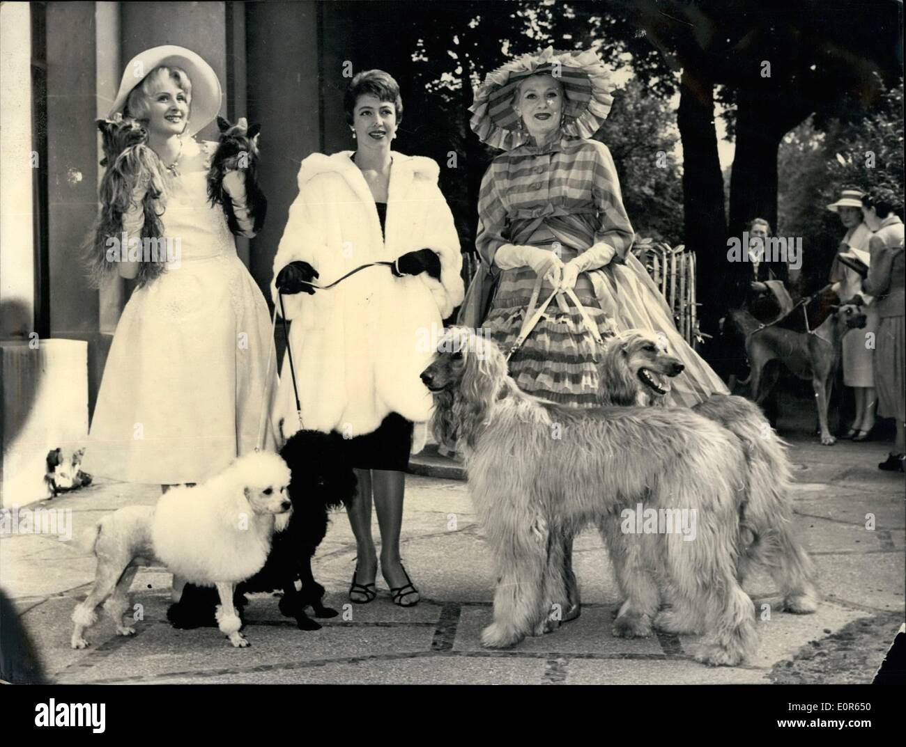 Beauty and the beast hi-res stock photography and images - Alamy