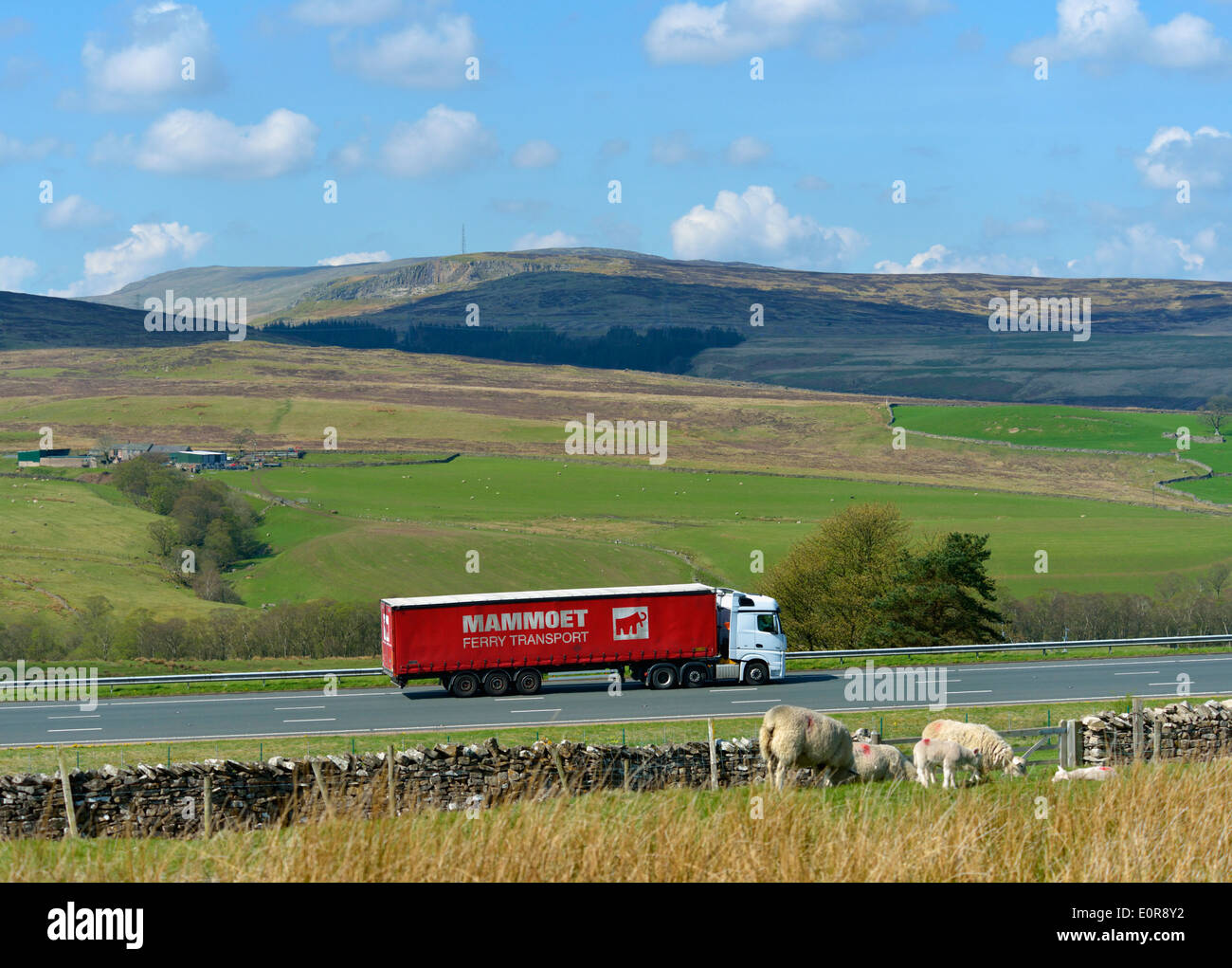 Mammoet Ferry Transport HGV on M6 motorway. Shap, Cumbria, England ...