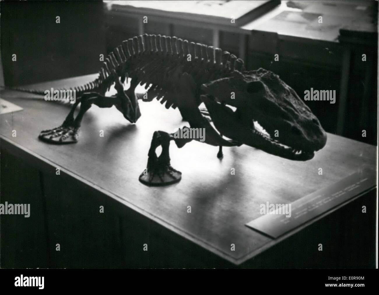 Aug. 08, 1958 - Prehistoric Animals On Show In Paris Museum Remnants of ...