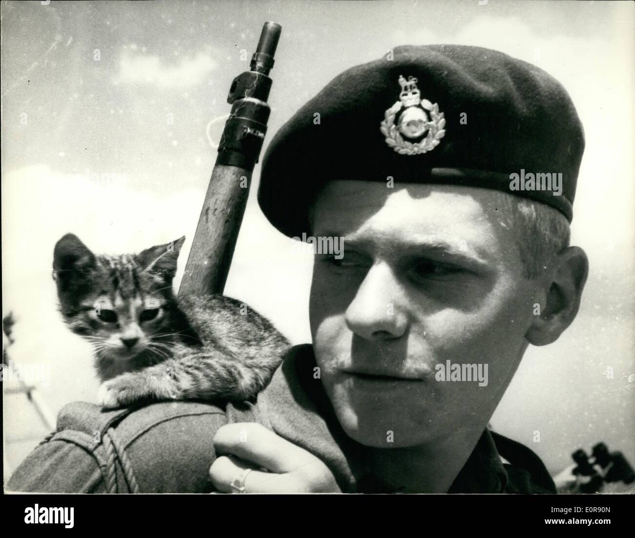 Our constant companion hi-res stock photography and images - Alamy