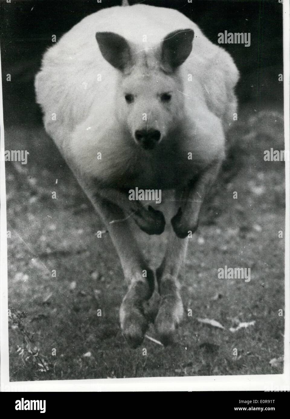 Aug. 08, 1958 - Action Stations: This amazing action shot was taken at ...