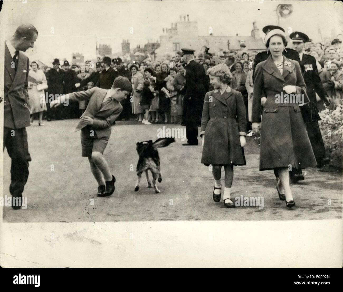 Princess anne dog hi-res stock photography and images - Alamy
