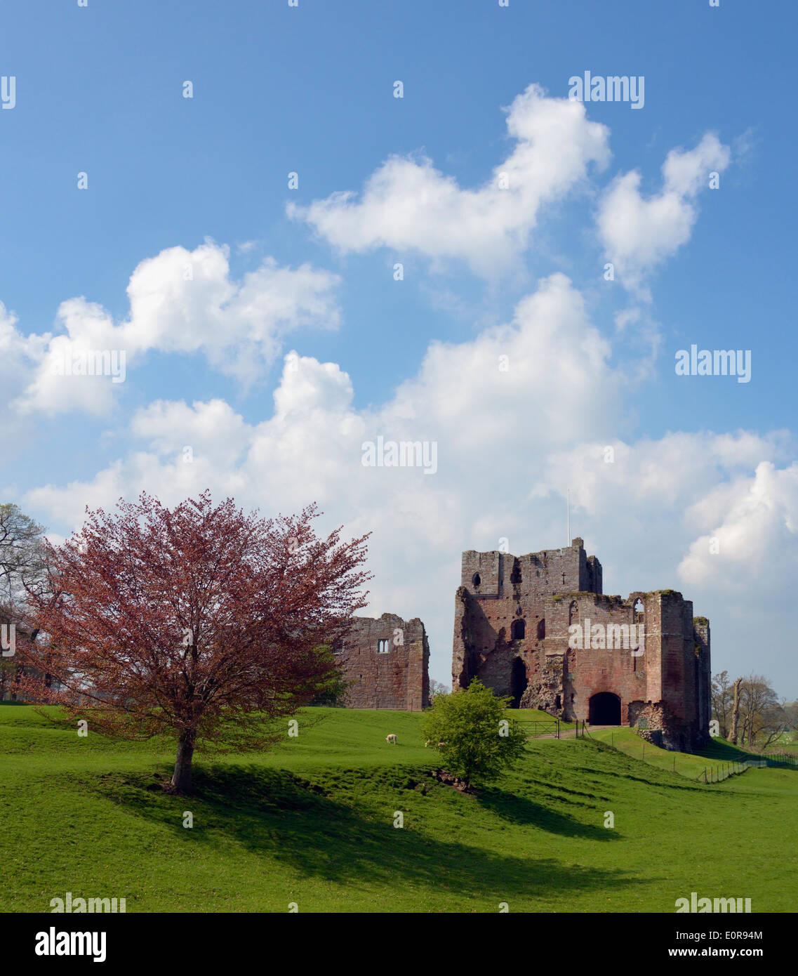 Castle brougham castle hi-res stock photography and images - Alamy