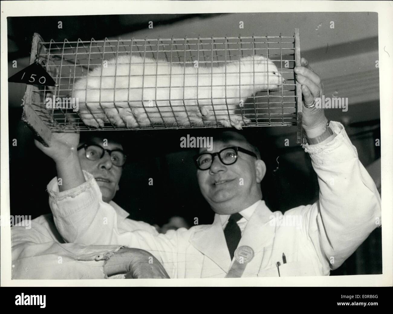 Pelts hi-res stock photography and images - Alamy