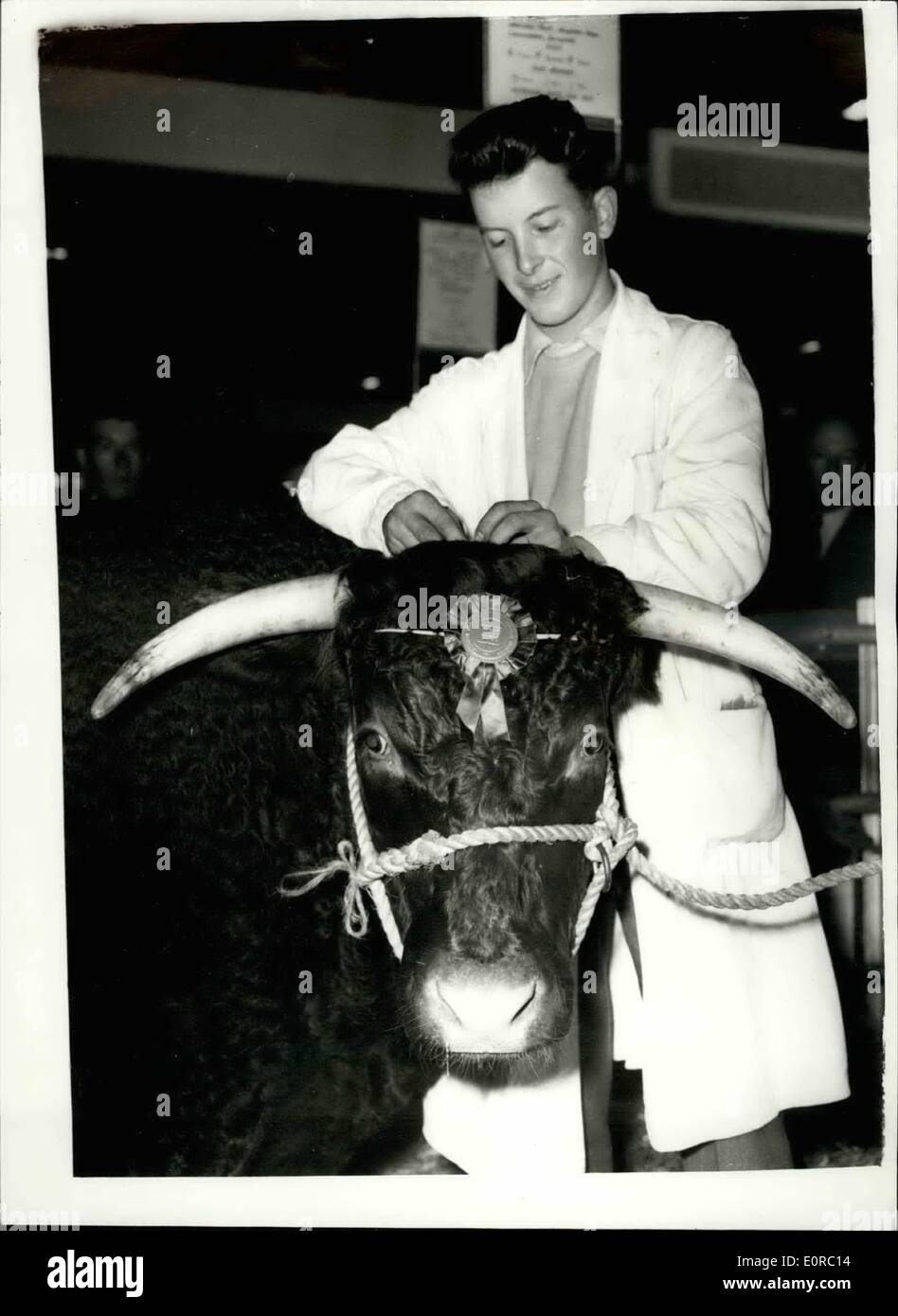 John coad hi-res stock photography and images - Alamy