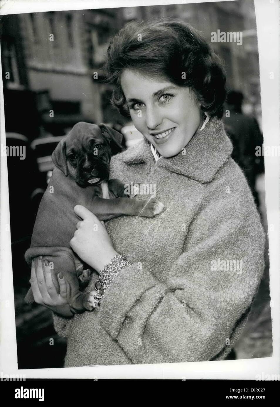 Mike hawthorn crash hi-res stock photography and images - Alamy