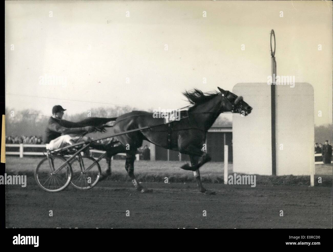Jan. 01, 1959 - Jamin Wins The prix D'amerique: Photo shows. Jamin ...