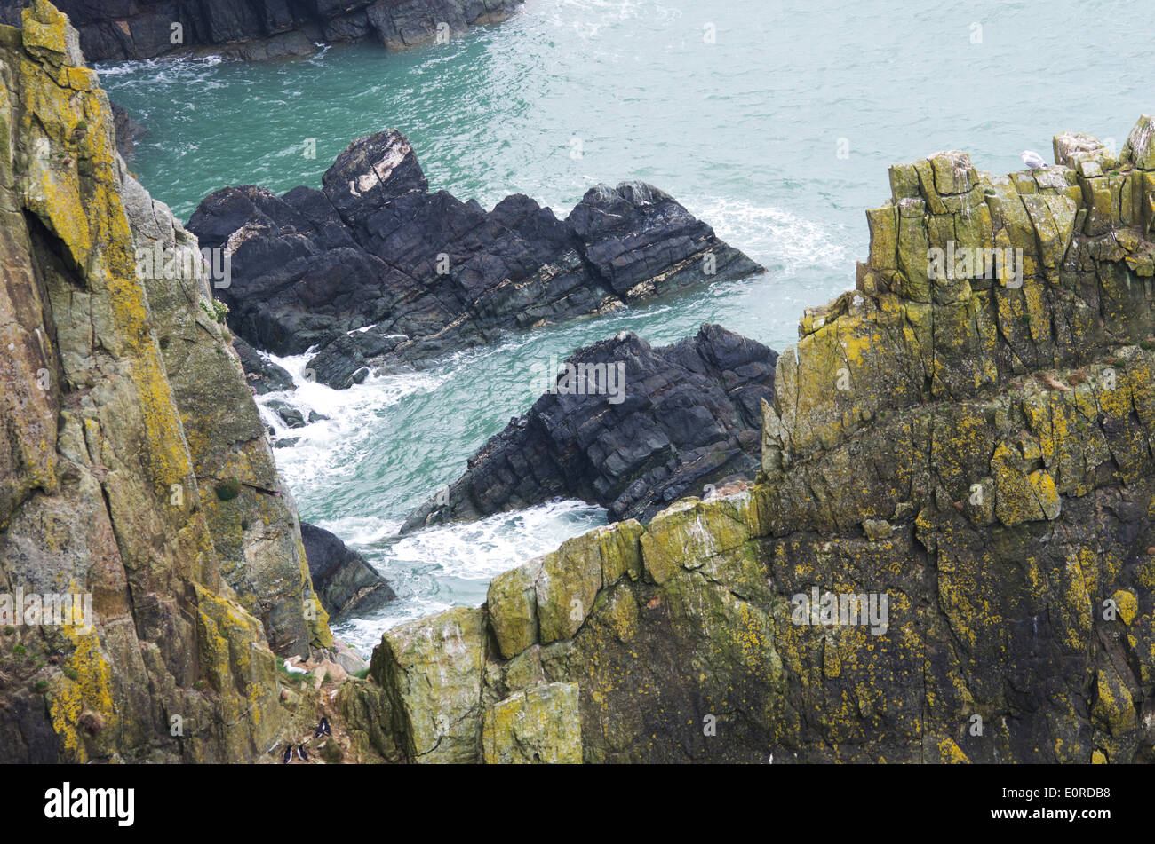 South Stack Cliffs, Anglesey Stock Photo - Alamy