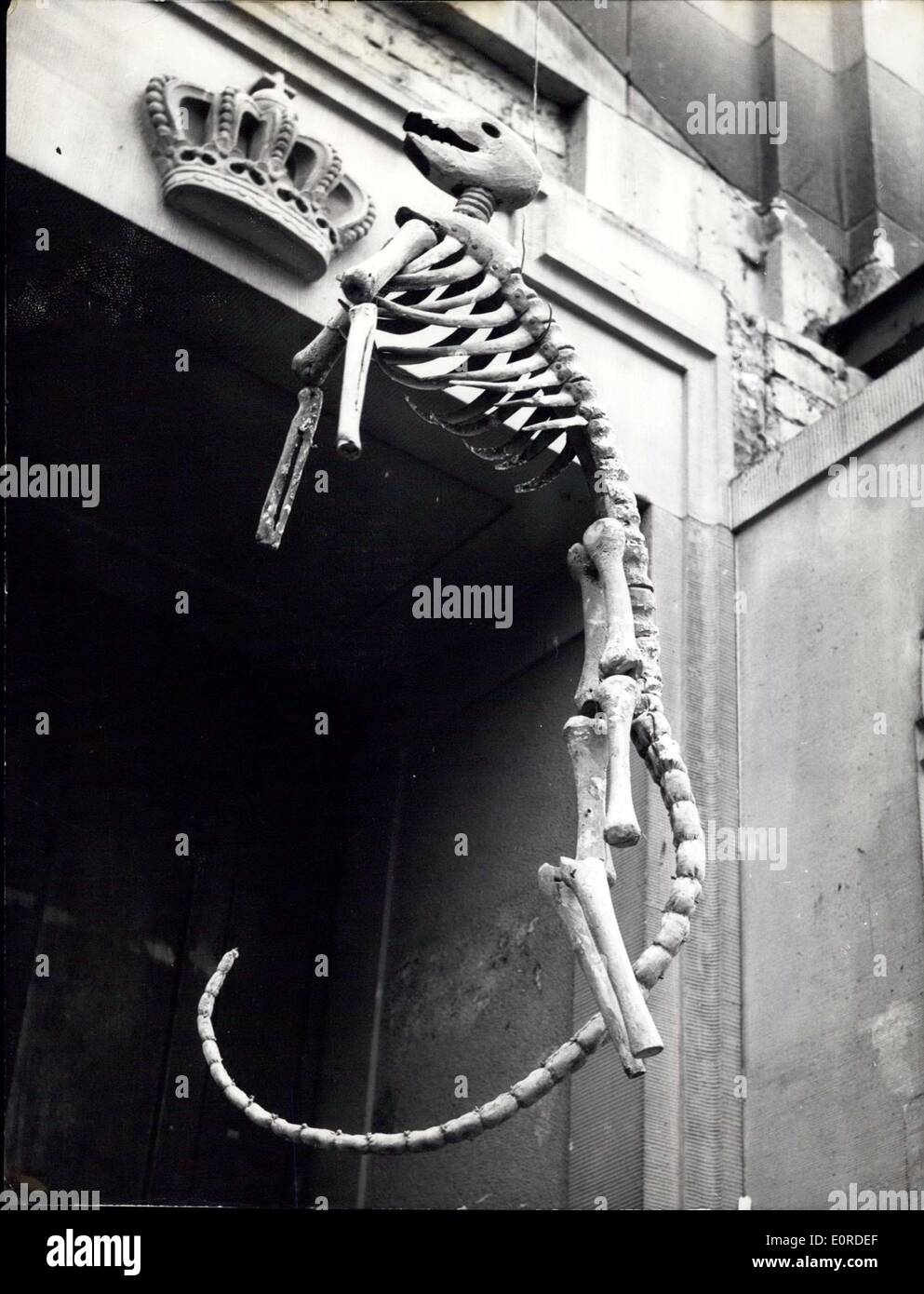 Above the entrance hi-res stock photography and images - Alamy