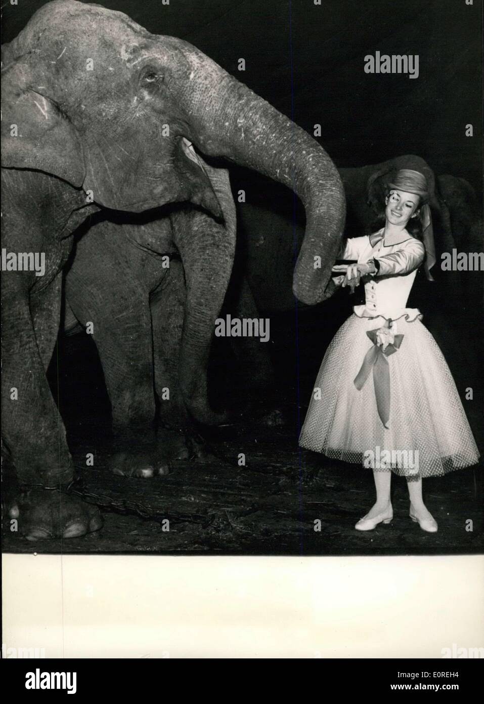 Mar. 03, 1959 - French star Pascale Audret Tames Elephants.: Paris ...