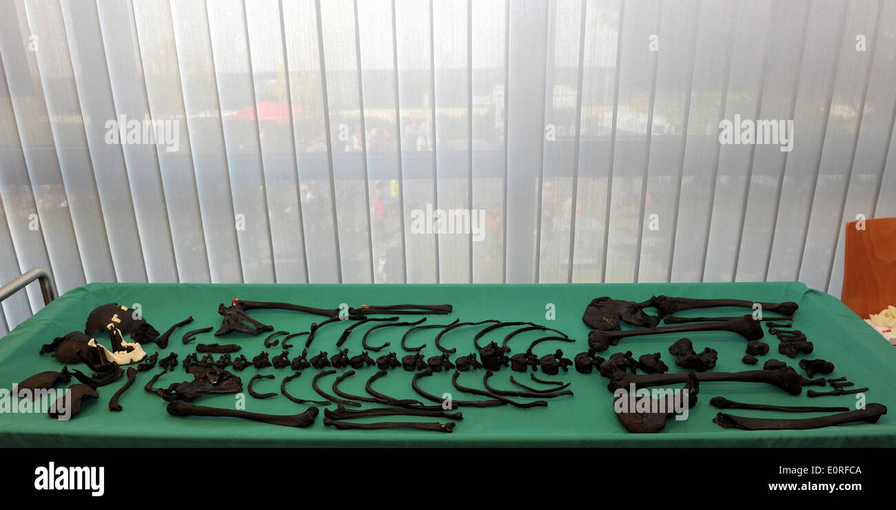 Bog Body High Resolution Stock Photography and Images - Alamy