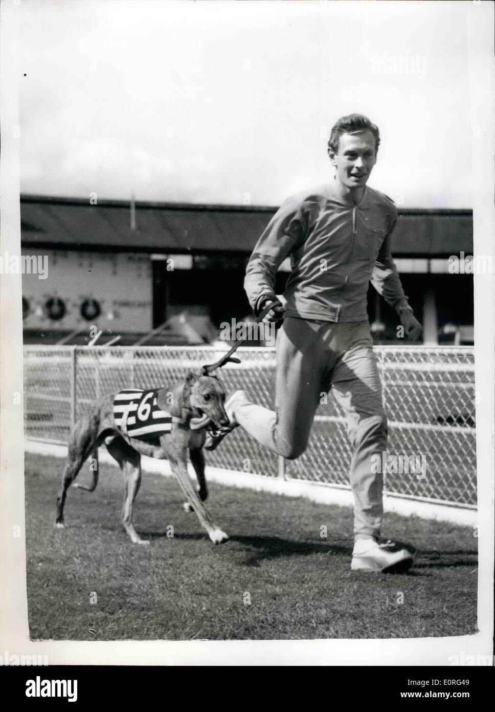 Aug. 08, 1959 - Brian Hewson Watches His Greyhound Have It's First ...