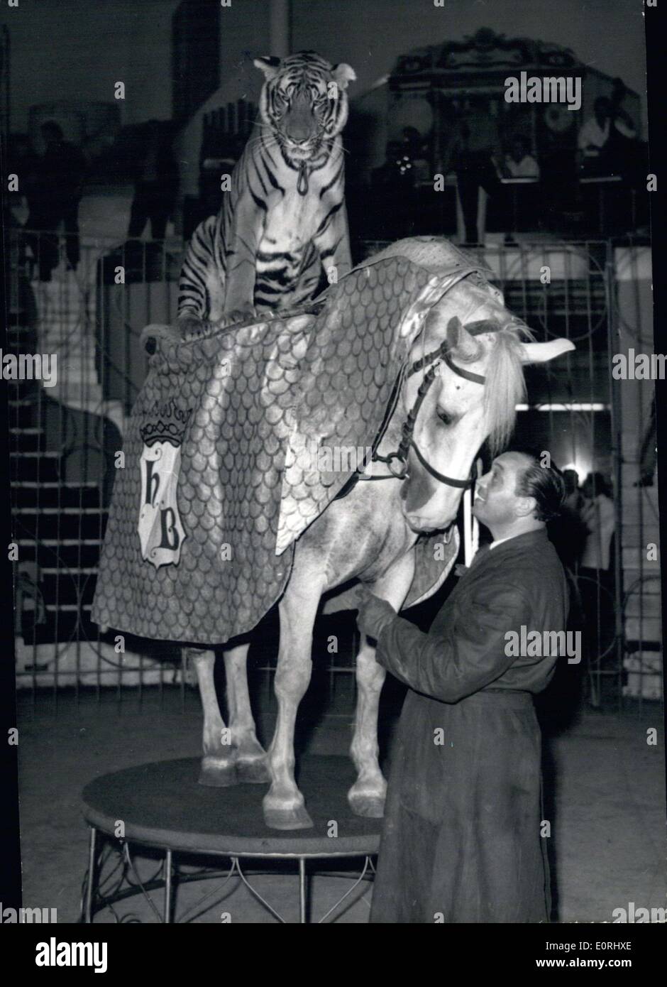 Riding The Tiger High Resolution Stock Photography and Images - Alamy