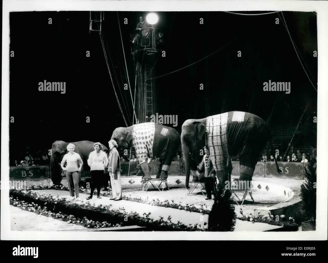 Billy circus hi-res stock photography and images - Alamy