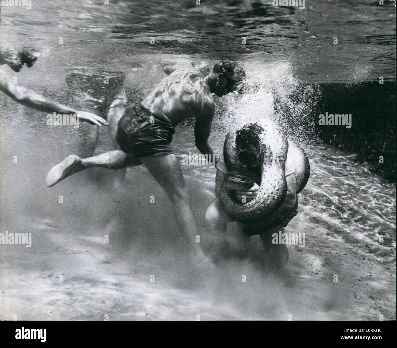 Jan 1, 1960 - Man versus Anaconda - underwater. Most fantastic battle ...