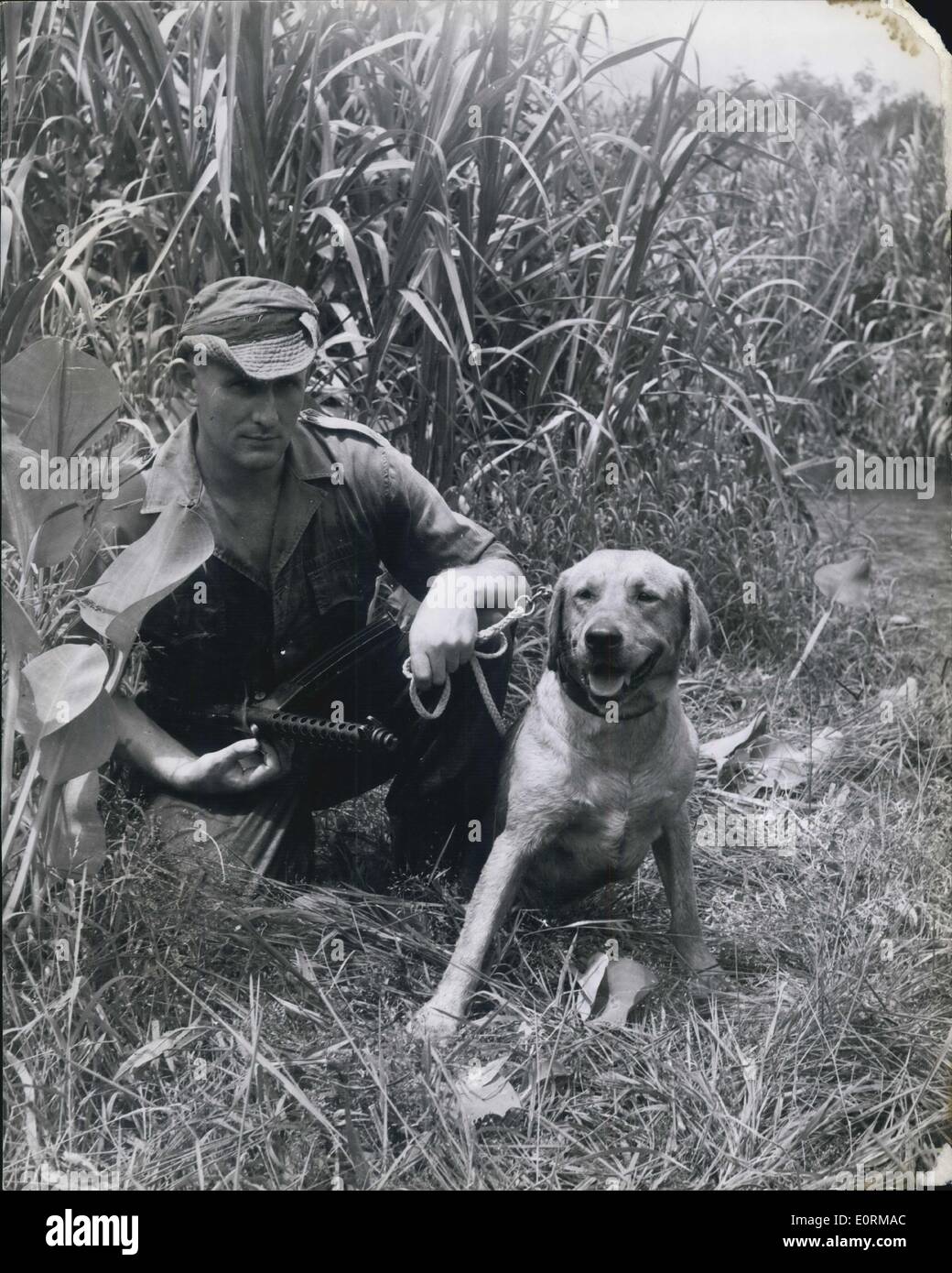 Jan 1, 1960 - With a Dog in Malayan Jungle Patrol: Daks, with his ...