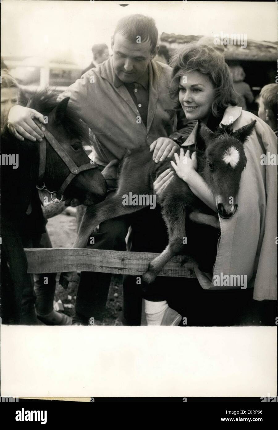 Apr. 04, 1960 - Kim Novak Christine A Young Filly On The Deauville ...