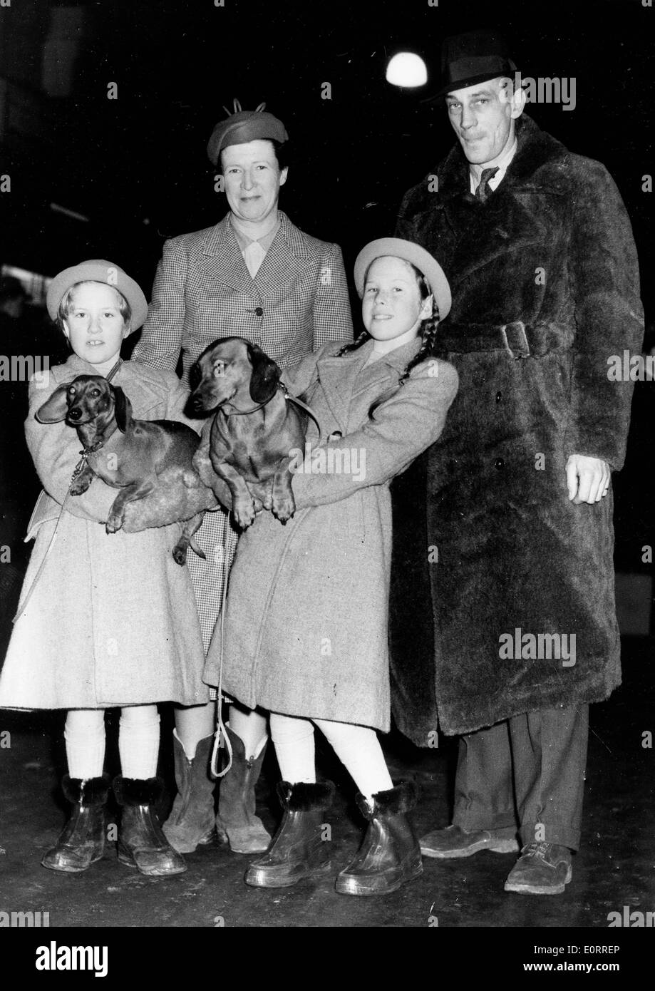 Donkin hi-res stock photography and images - Alamy