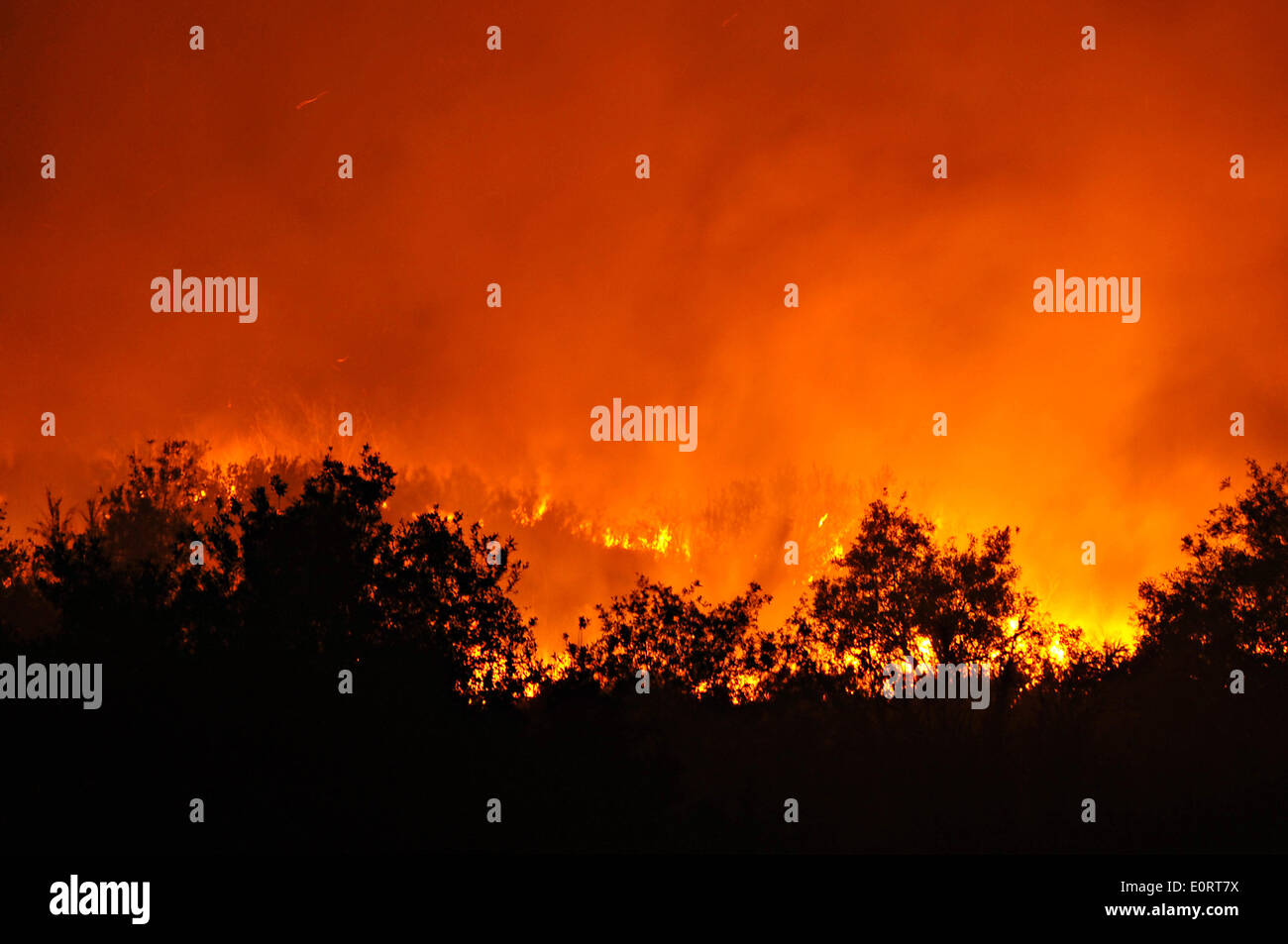 A wall of flames at night from the Las Pulgas wildfire as it continues ...